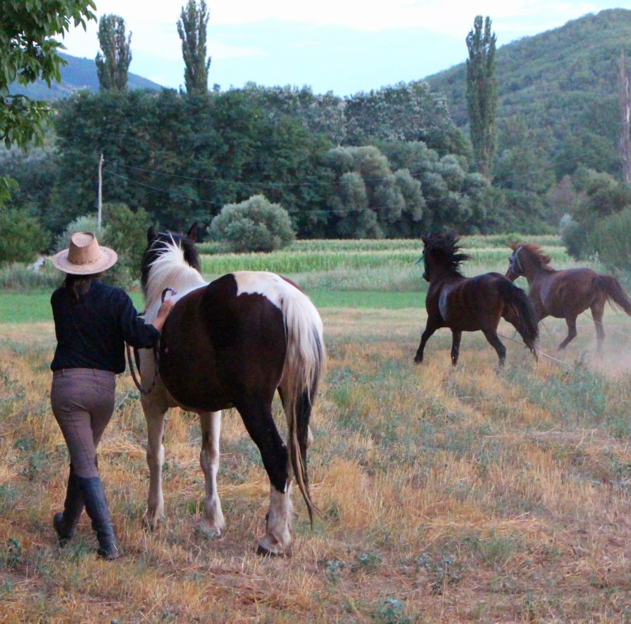 The Countryside Retreat - Visitr