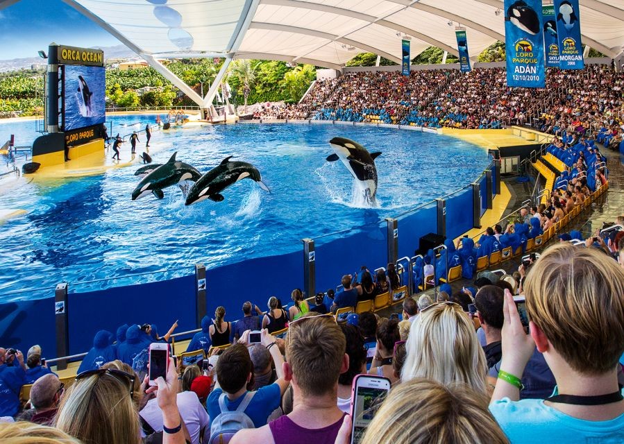 Loro Parque - Visitr